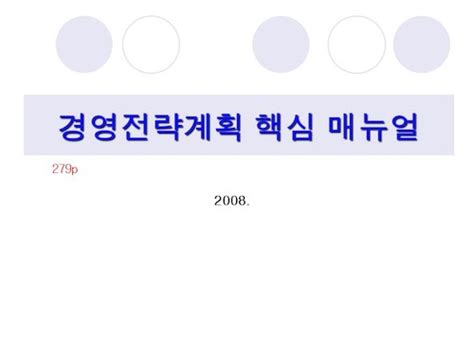 예산 전략 보고서