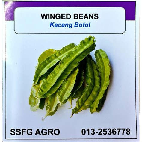 Benih Kacang Botol Winged Beans 10 Biji Shopee Malaysia