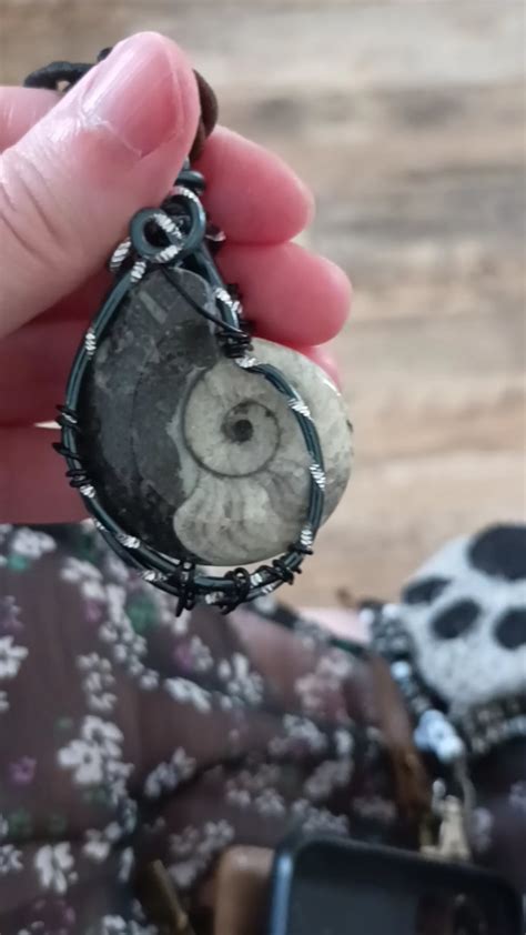 Is This A Real Ammonite R Fossilid