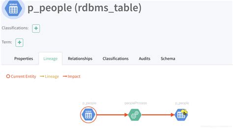 apache atlas元数据血缘关系（lineage）功能研究 tomalun的专栏 csdn博客 it瘾