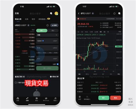 Xrex