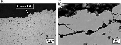 A Lom Micrograph Taken From The Mid Sections Perpendicular To The Crack