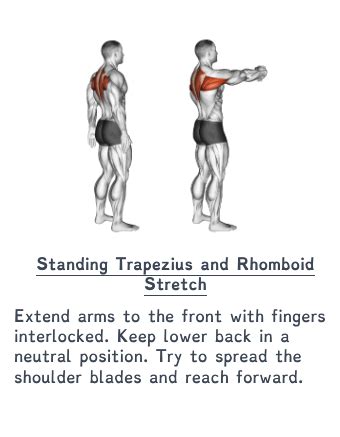 Standing Rhomboid Stretch