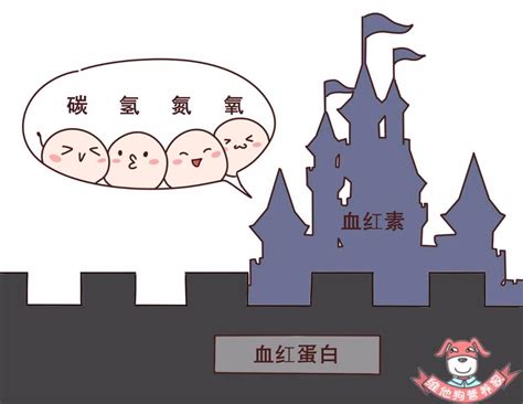贫血要补铁如何补铁效果好这波科普你一定要收下 知乎