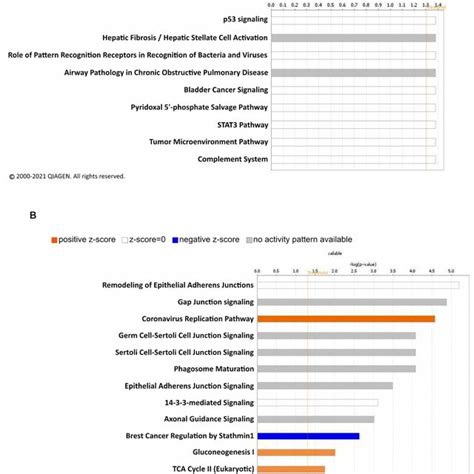 Canonical Signaling Pathway Analysis Of Linear Polyubiquitin Protein