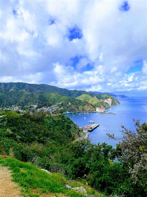 Catalina Island Is Amazing Natureporn