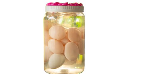 How To Preserve Eggs Effective Methods For Long Term Egg Storage