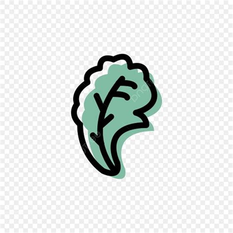 양상추 아이콘 Png 일러스트 Psd 및 클립 아트에 대한 무료 다운로드 Pngtree