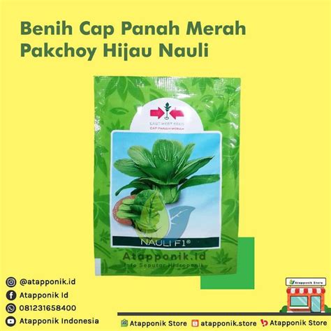 Jual Benih Sawi Pakcoy Nauli F1 Isi 10 Gram Shopee Indonesia