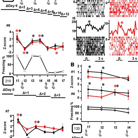 Auditory Cortex Neuronal Responses To A Visual Stimulus After Pairing