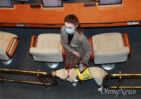 시각장애인인 김예지 미래한국당 당선인과 안내견 조이 오마이포토