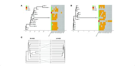 Comparison Of The Single Nucleotide Polymorphism Based Strain Typing