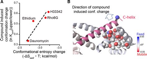 Importance Of Dynamics In Proteinligand Interactions A The