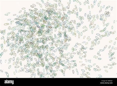 Abstract Geometric Motion Particle Or Random Pattern Colorful And Artistic For Graphic Design