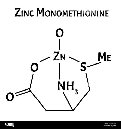 Monometionina di zinco Immagini senza sfondo e Foto Stock ritagliate ...