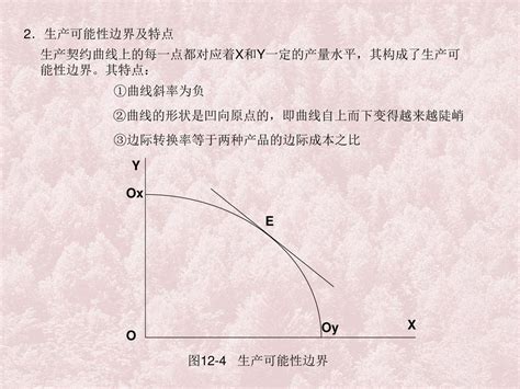 第九章 一 般 均 衡 与 福 利 一般均衡分析 福利经济学基础 帕罗托最优与福利 Ppt Download