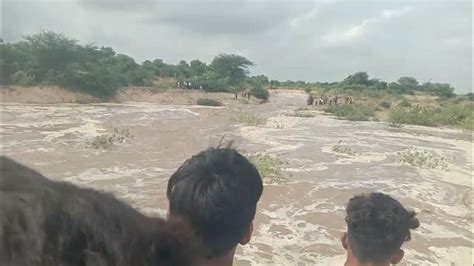 Banas Nadi Live Nana Jampur Youtube