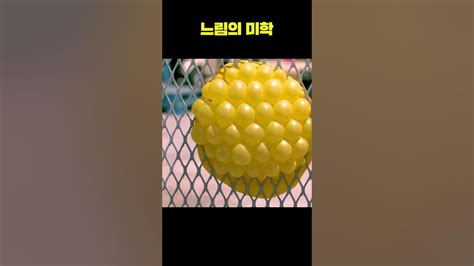 느림의 미학 Youtube