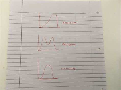 Natural Selection Speciation Flashcards Quizlet
