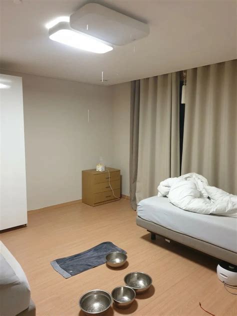 동탄 레이크자이 아파트 근황 온수분배기 녹아내려 물폭탄 영상 짤뉴스