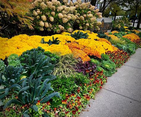 Crafting Dynamic Seasonal Color Programs With Plant Material The Edge