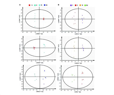 Orthogonal Partial Least Squares Discriminant Analysis Opls Da