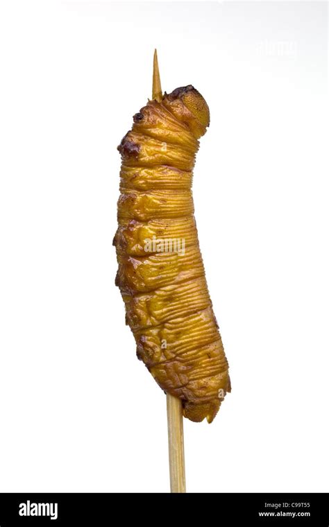Cooked Witchety Grub Kebab Sold At Donghuamen Night Market Beijing An