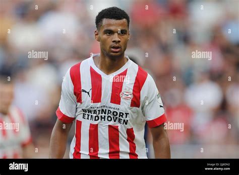 Eindhoven Cody Gakpo Of Psv Eindhoven During The Friendly Match