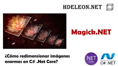 C Mo Redimensionar Im Genes Enormes En C Net Core Magick Net