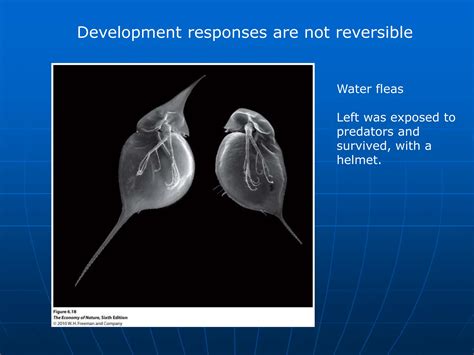Vdocument In Biol 4120 Principles Of Ecology Lecture 6 Evolution And