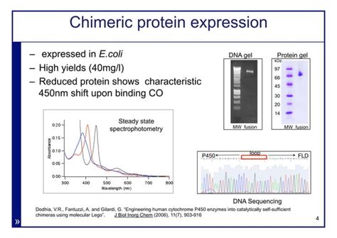 Enzyme Assemblies For Nanotechnology Applied To Drug Metabolism Pdf