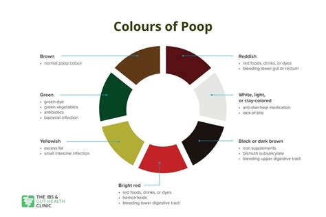 Gray Stool Causes At Matthew Wright Blog