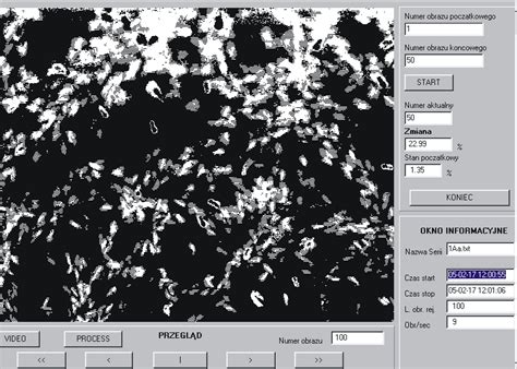 A Working Window Of The Analysing Programs In Use Download Scientific Diagram