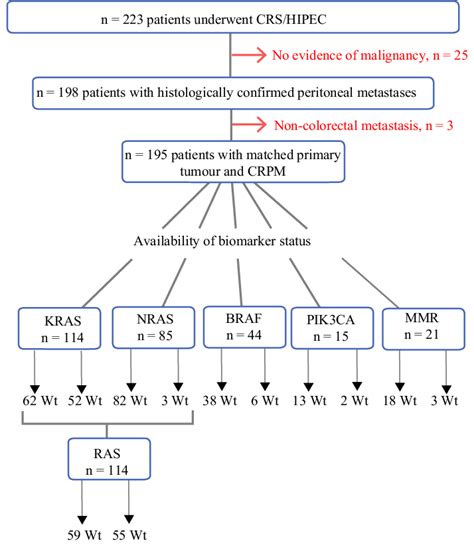 Flow Diagram Of Patient Selection And The Availability Of Biomarker