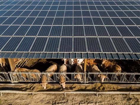 IPARD Programı Hibe Desteği Entegro Enerji Sistemleri