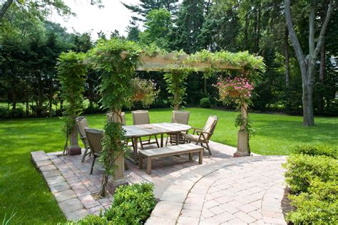 Pergola Plants Guide Shade And Enhance Your Outdoor Space