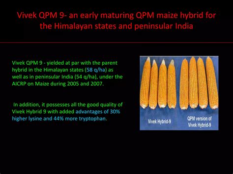 Quality Protein Maize Biofortification For Nutritional Security Pptx
