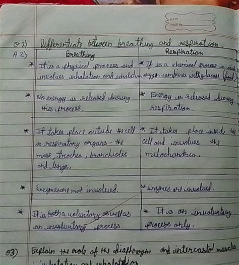 Q 2 Differentiate Between Breathing And Respiration A 23 Breathing Res