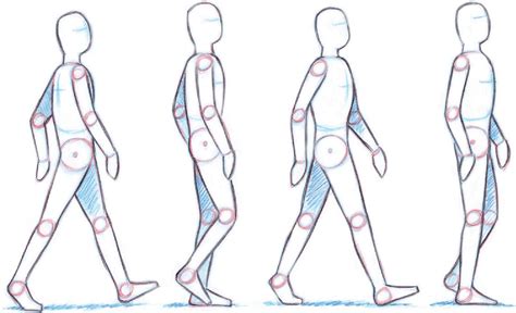 Basic Walk Cycle Artofit