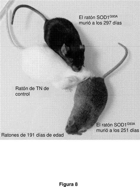 Tratamiento de la esclerosis lateral amiotrófica 1