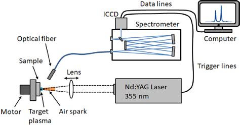 Schematic Diagram Of The Experimental Arrangement Download