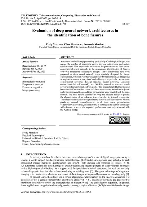 Evaluation Of Deep Neural Network Architectures In The Identification