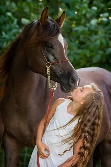 Cute Horses Pretty Horses Horse Love Pictures With Horses Horse