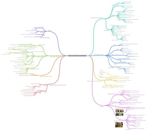 Chapter 14 Development And Morphogenesis Environmental Complexity Touch…