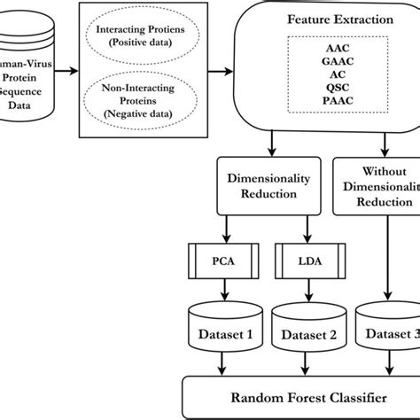 Schematic Representation Of The Detailed Methodology Adopted For