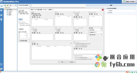 Windows NetSetMan网络IP切换工具 v5 1 0 中文专业版 枫音应用