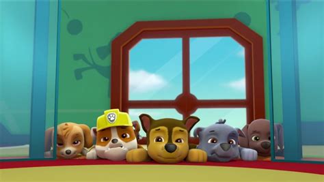 Image Paw Patrol Pups Save The Songbirds Scene 14 Paw Patrol