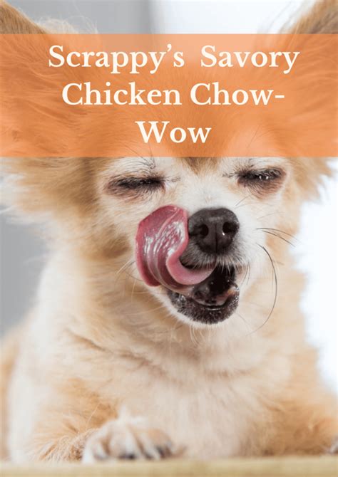 Healthy Dog Food Recipes Chichis And Me Healthy Dog Food Recipes Chichis And Me