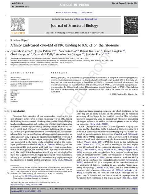 Pdf Affinity Grid Based Cryo Em Of Pkc Binding To Rack1 On The