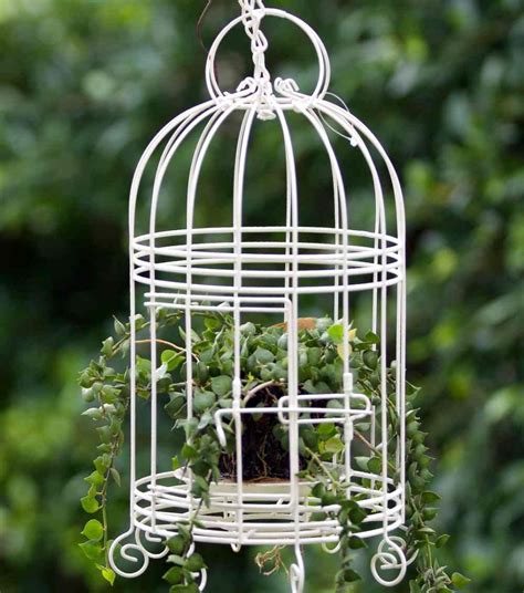 Bird Cage Planters Tutorial Plus 15 Decorative Birdcage Planter Ideas